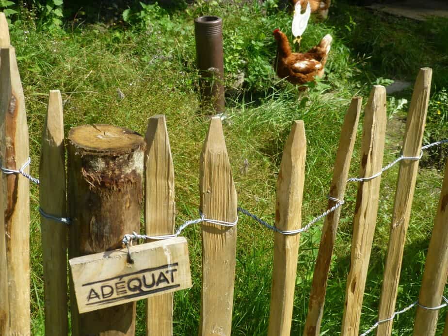 Hühnerzaun Holz - Staketenzaun Hühner - Adéquat