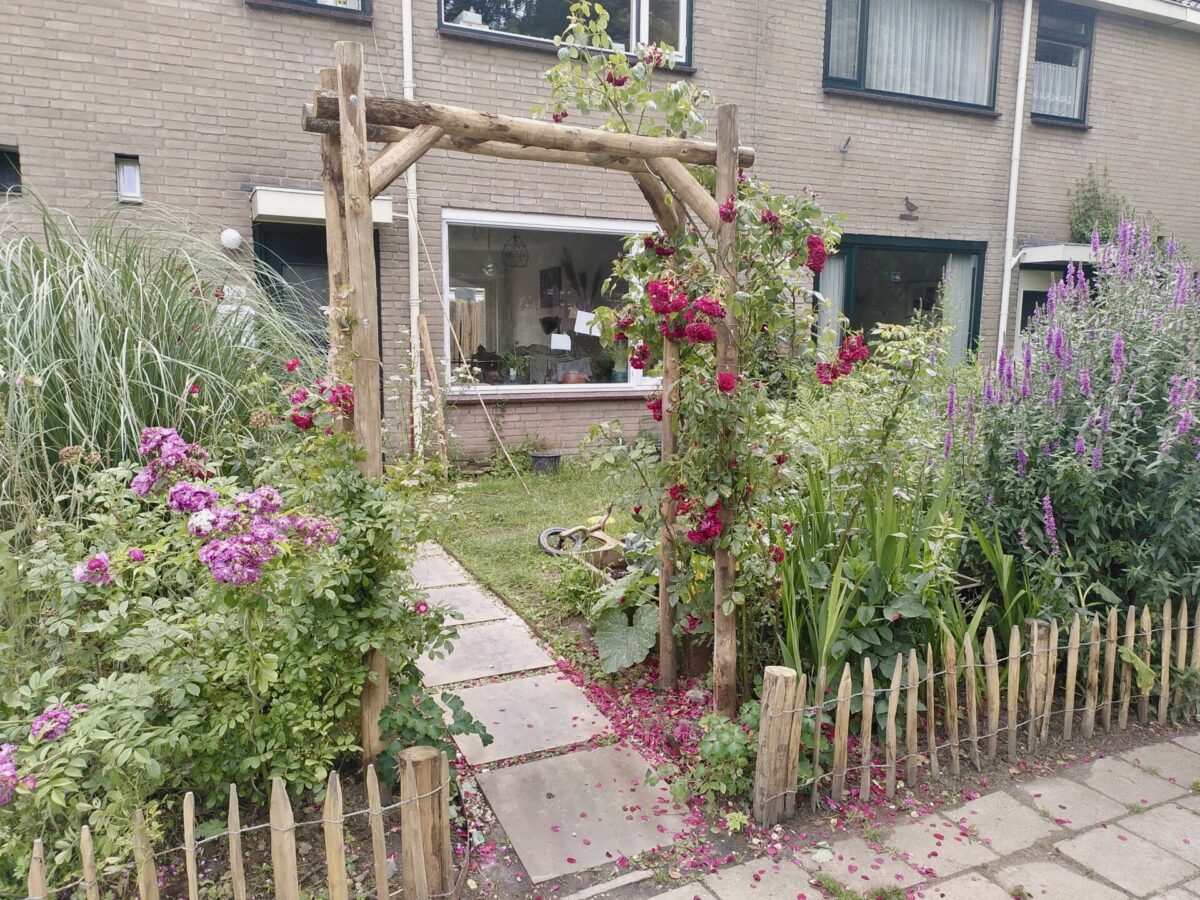 Rosenbogen Holz selber bauen